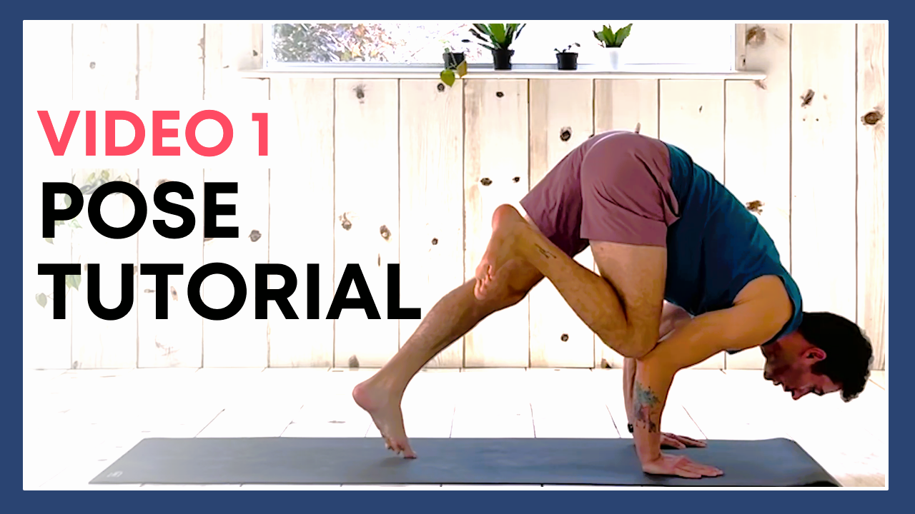 Single Legged Crow POSE TUTORIAL - Yoga With Kassandra